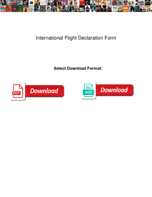 Fillable Online International Flight Declaration Form. International ...