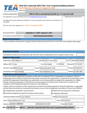 Fillable Online 2020-2021 Statewide ESSA Title I, Part A Capacity ...