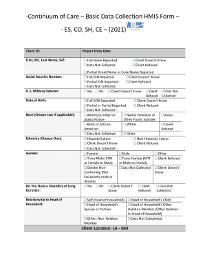 Fillable Online -Continuum of Care Basic Data Collection HMIS Form Fax ...