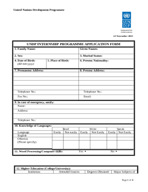 Undp Internship Programme Application : United Nations ... Doc Template ...
