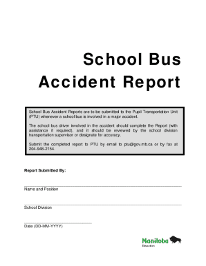 Fillable Online Bus Incident Report Example - Fill Online, Printable ...