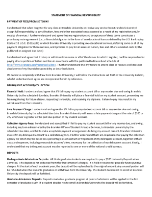 Fillable Online STATEMENT OF FINANCIAL RESPONSIBILITY Payment of Fees ...