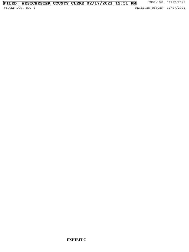 Fillable Online NYSCEF DOC. NO. 17 RECEIVED NYSCEF: 10/12/2021 REQUEST ...