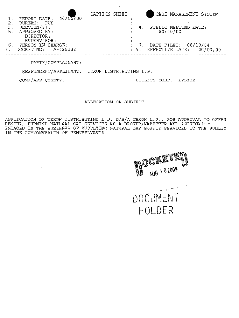 Fillable Online CAPTION SHEET CASE MANAGEMENT SYSTEM 1- REPORT DATE: 00 ...