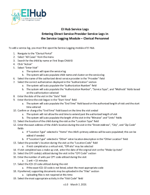 Fillable Online EI Hub Service Logs- Entering Direct Service Provider ...