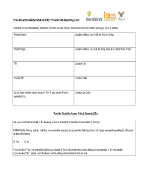 Fillable Online Provider Accessibility Initiative (PAI) - Provider Self ...