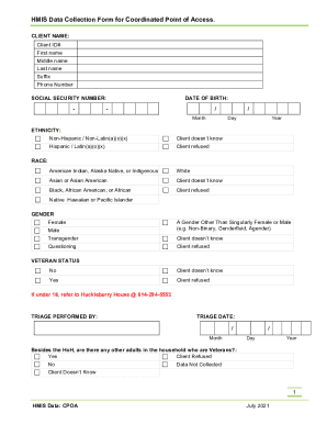 Fillable Online CoC HMIS Data Collection Template: Project Entry for ...