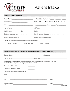 Fillable Online New Patient Intake Form - Home - Frisco Spine Fax Email ...