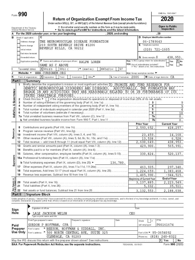 Fillable Online NDF Form 990 for 2020 Fax Email Print - pdfFiller