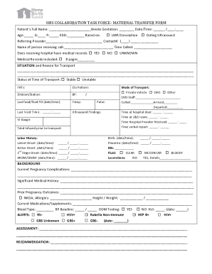 Fillable Online ods.od.nih.govfactsheetsIron-HealthProfessionalIron ...