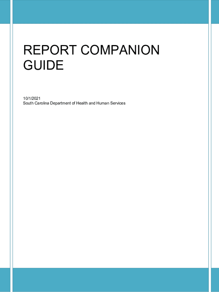 Fillable Online REPORT COMPANION GUIDE - MSP-scdhhs.gov Fax Email Print ...