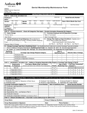Fillable Online E301 CT Maintenance Form.docx Fax Email Print - pdfFiller