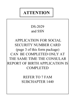 Fillable Online eforms.state.govFormsds2029U.S. Department of State OMB ...