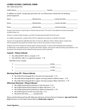 Fillable Online LS CARPOOL FORM.docx Fax Email Print - pdfFiller