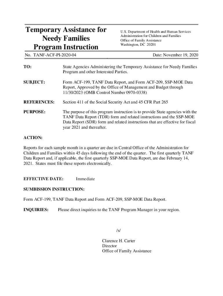 Fillable Online TANF-ACF-PI-2020-04. Form ACF-199, TANF Data Report ...