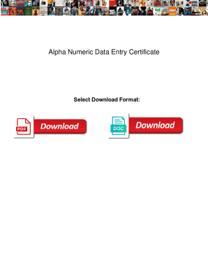 Alpha And Numeric Data Entry - Fill Online, Printable, Fillable, Blank ...