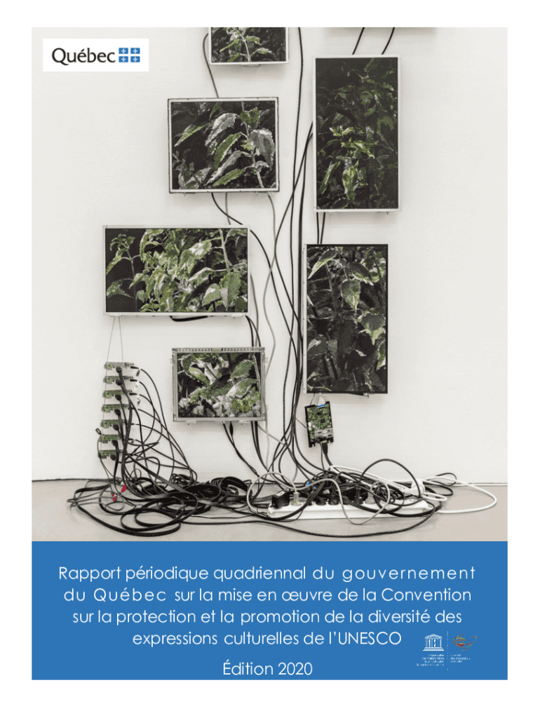 Remplissable En Ligne Form Submission: Quadrennial Periodic Report ...