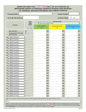 Fillable Online www.bea.govsystemfilesOVERFLOW SHEET FOR Schedules A OR ...
