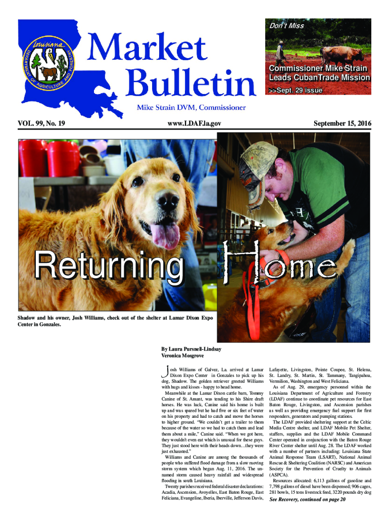 Fillable Online Issue Spotting Memo Under the Federal Trade Commission ...