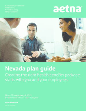 Fillable Online Nevada 2-100 Plan Guide. Nevada 2-100 Plan Guide Fax ...