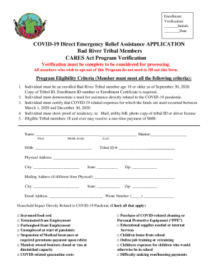 Fillable Online COVID-19 Direct Emergency Relief Assistance APPLICATION ...
