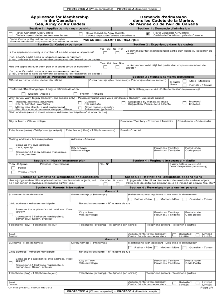 Fillable Online Fillable Online New USPTO Rules for Continuation ...