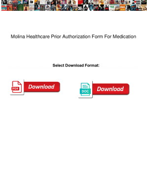 Fillable Online Molina Healthcare Prior Authorization Form For ...