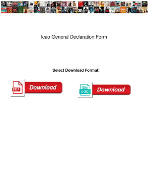 Fillable Online Icao General Declaration Form. Icao General Declaration ...