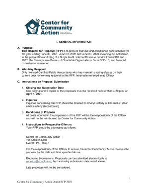 Fillable Online REQUEST FOR PROPOSAL FOR SINGLE AUDIT SERVICES AND TAX ... Fax Email Print ...