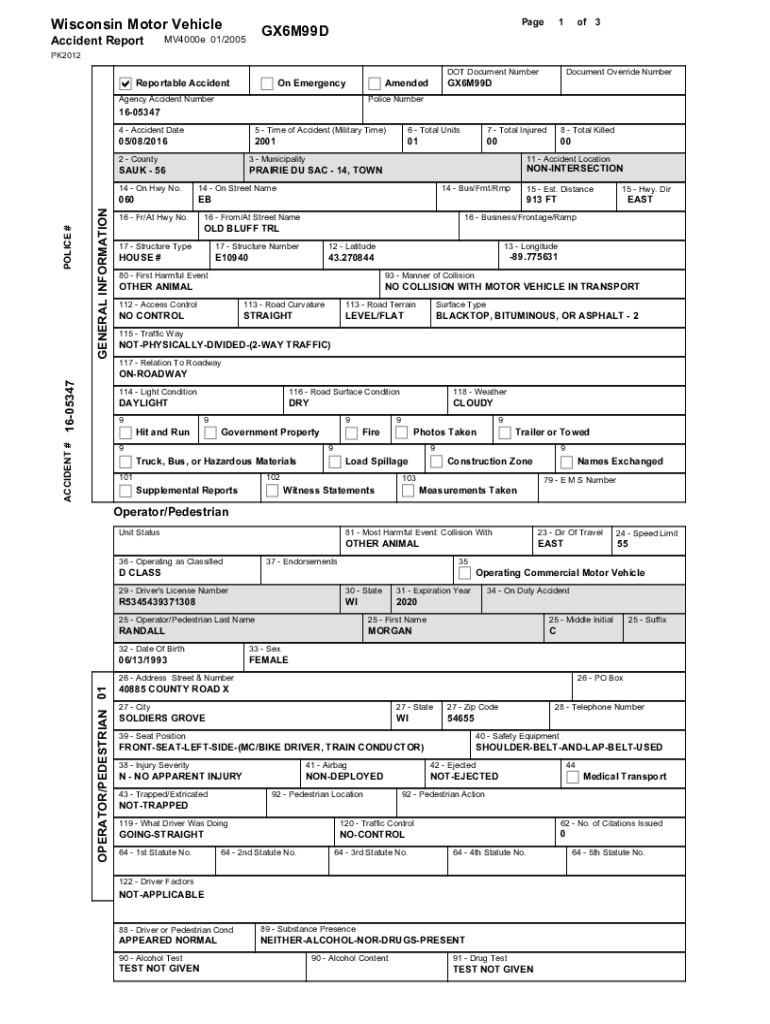 Fillable Online Fillable Online DOA - 6496-Vehicle Incident Report ...
