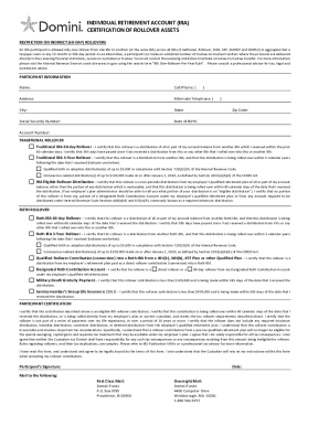 Fillable Online www.domini.com uploads filesINDIVIDUAL RETIREMENT ...