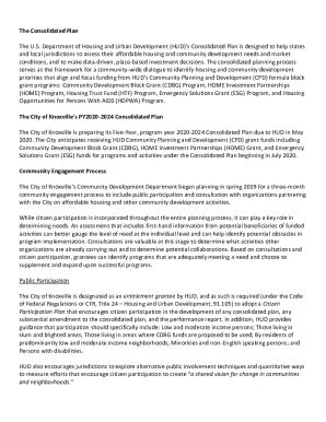 Fillable Online The Consolidated Plan Fax Email Print - pdfFiller