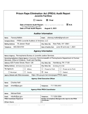 Fillable Online Prison Rape Elimination Act (PREA) Audit ... - dhs.pa ...