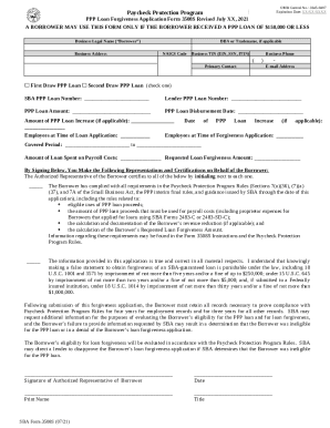 Fillable Online omb.reporticr202107/3245/002SBA Form 3508S Wor PPP ...