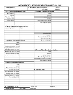 Fillable Online ICS/ICS-like Form 203, Organization Assignment List Fax ...
