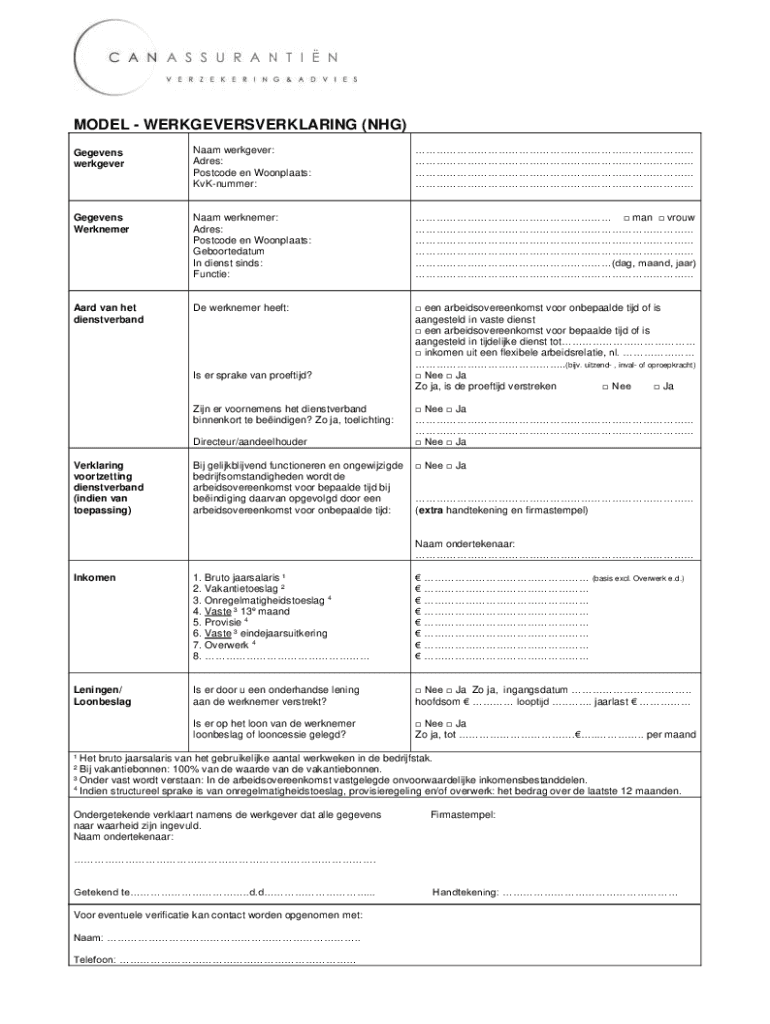 Dutch Employer Statement Form - Blank Fillable Template | Fill Out ...