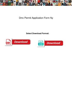 Fillable Online Dmv Permit Application Form Ny scarica. Dmv Permit ...