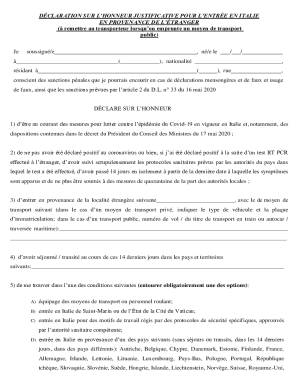 Fillable Online passenger locator form italie plf application Italy ...