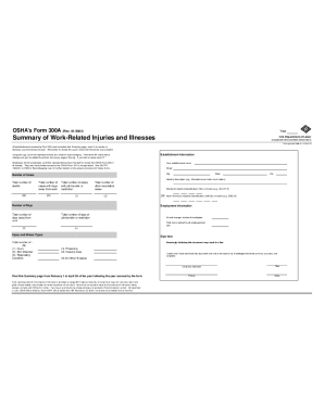 Fillable Online OSHA Form 300 Fax Email Print - pdfFiller