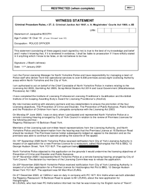 Fillable Online MG11 Witness Statement - City of York Council Fax Email ...