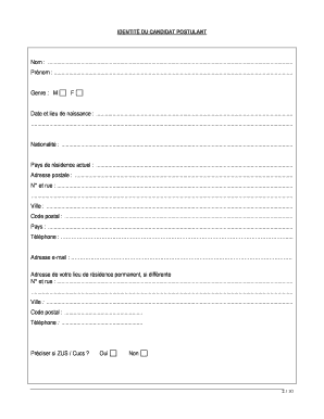 Remplissable En Ligne Formulaire PDF Entraide Scolarship.pdf, pages 1 ...