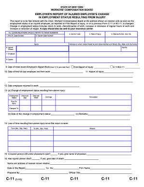C11 Form - Fill Online, Printable, Fillable, Blank | PDFfiller