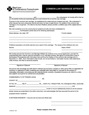 Fillable Online COMMON-LAW MARRIAGE AFFIDAVIT Fax Email Print - pdfFiller