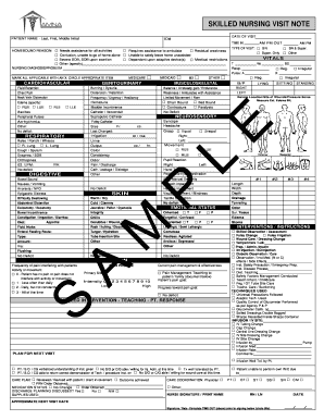 Fillable Online SKILLED NURSING VISIT NOTE Fax Email Print - pdfFiller