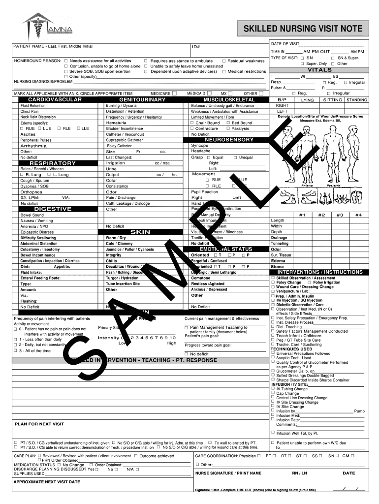 Fillable Online SKILLED NURSING VISIT NOTE Fax Email Print - pdfFiller