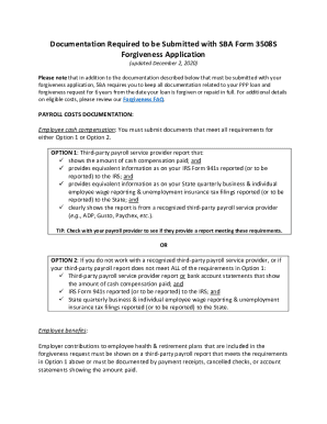Fillable Online Documentation Required to be Submitted with SBA Form ...