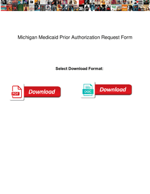 Fillable Online Michigan Medicaid Prior Authorization Request Form ...
