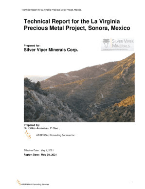 Fillable Online NI 43-101F1 Report Template. report template for NI 43 ...