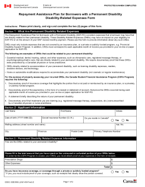 Fillable Online REPAYMENT ASSISTANCE PLAN FOR BORROWERS WITH A ...