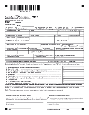 Fillable Online Georgia Form 700 (Partnership Tax Return) - 2021 ...